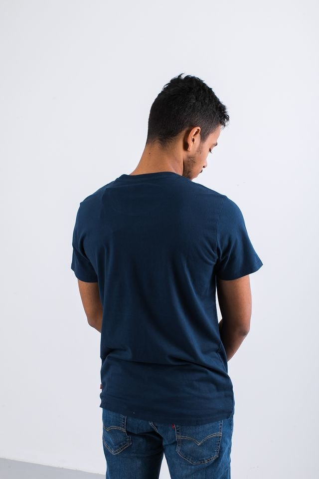 Levi's Graphic Set-in Neck T-shirt - 17783-0139 | Clothing \ Casual ...