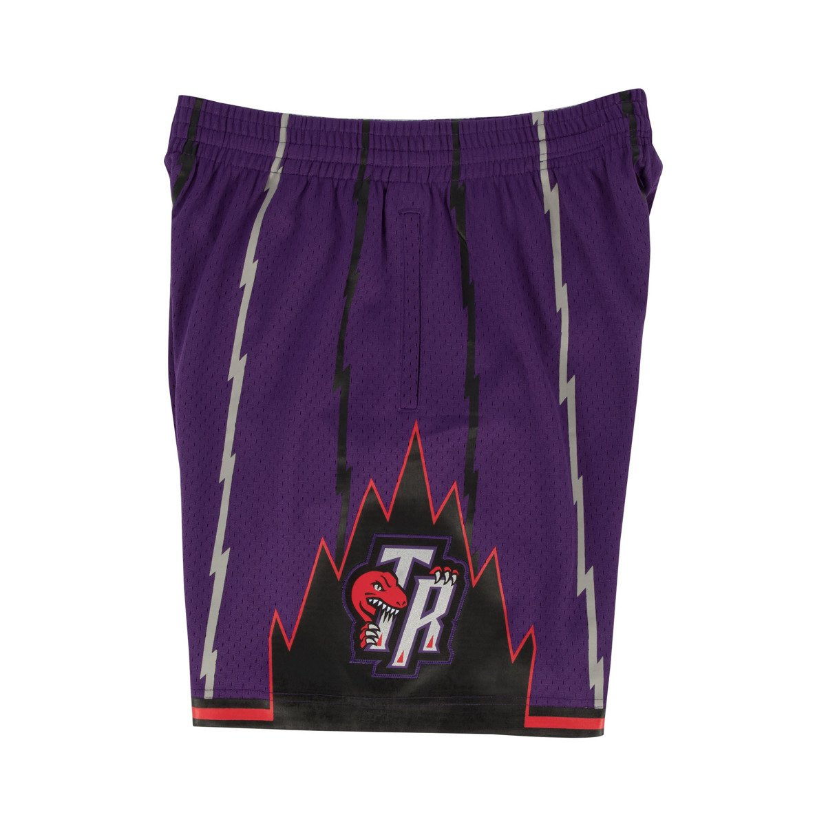 Mitchell & Ness NBA Swingman Toronto Raptors Basketball Shorts MN-NBA ...